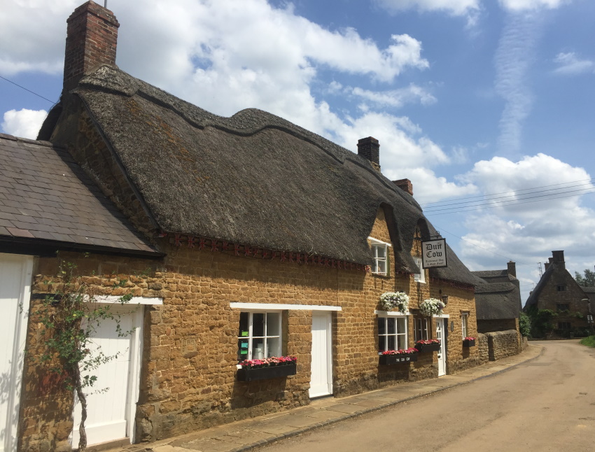 Thatched Pub Project
